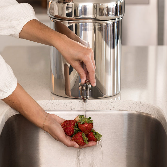 BOROUX Legacy Compact Portable Water Filter System