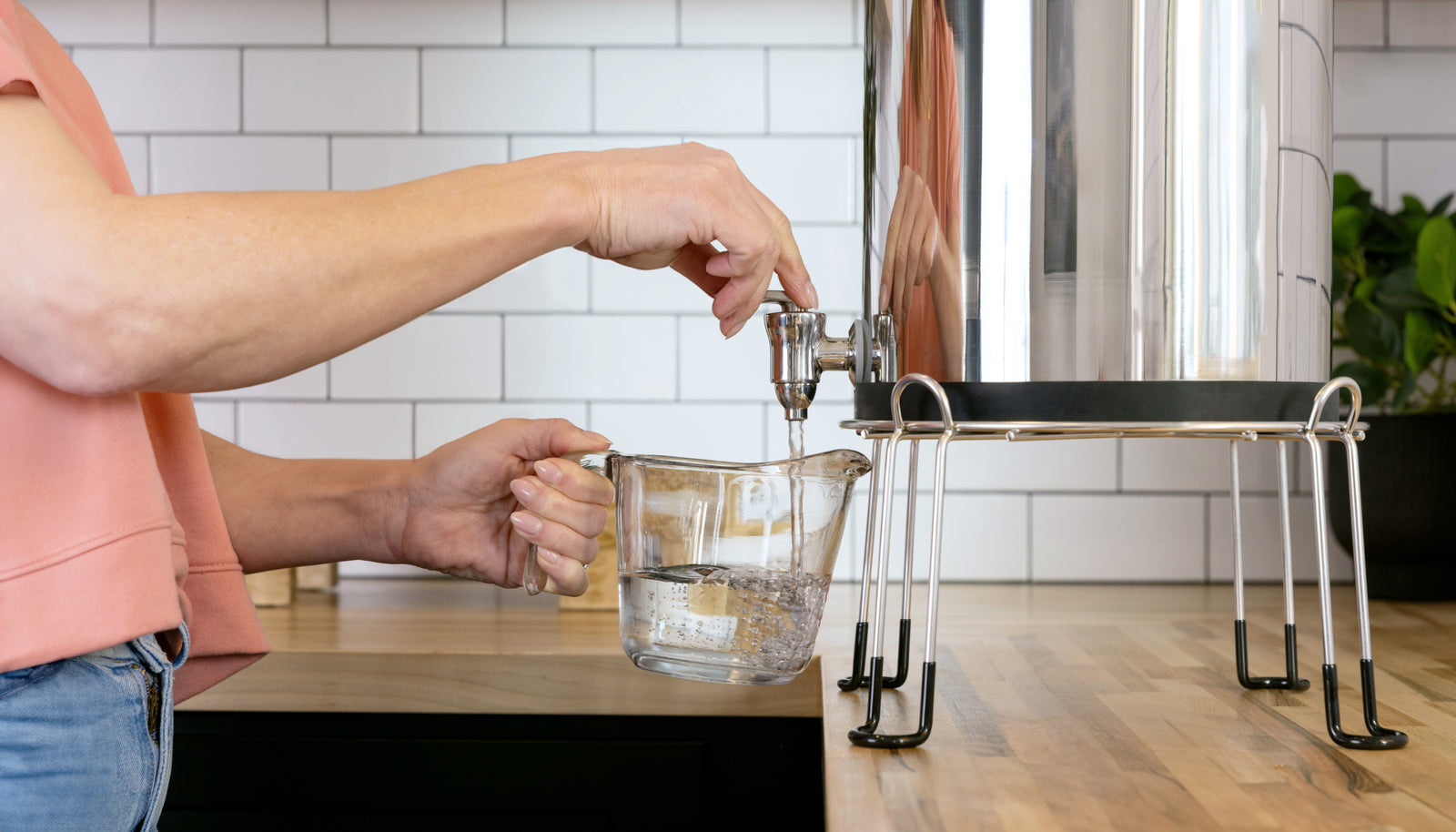 BOROUX legacy Stainless Steel Stand