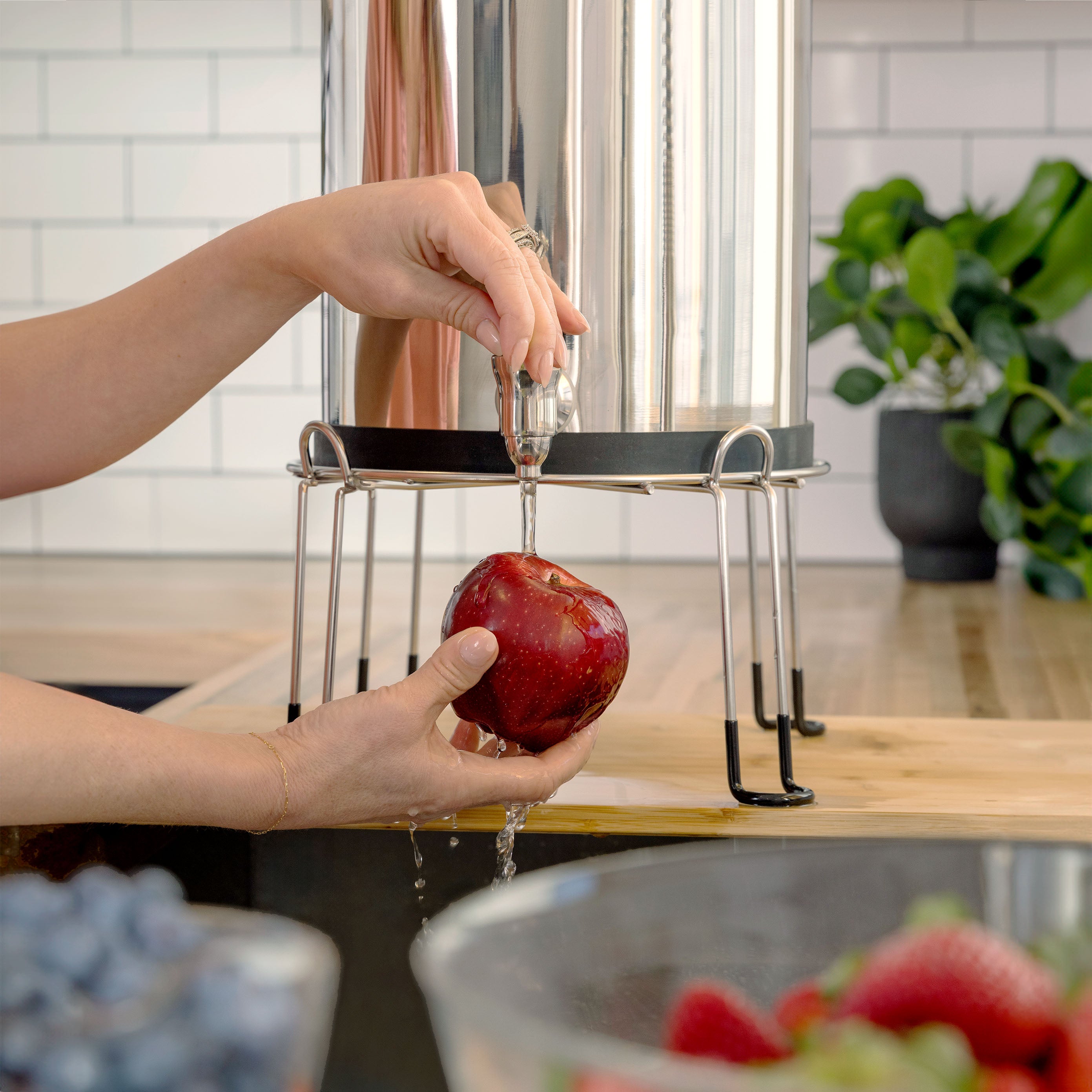 BOROUX legacy.™ Water Filter System